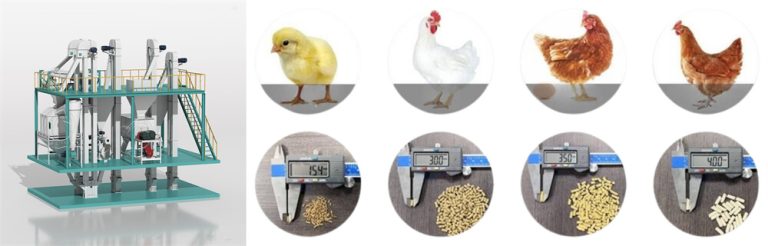Chicken Feed Machine | Chicken Feed Mill for Sale