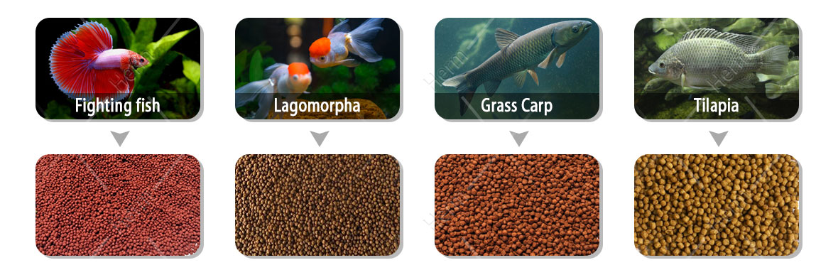 Dry Type Fish Feed Machine | Fish Feed Mill Plant for Sale