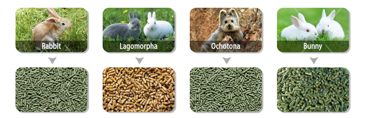 Rabbit Feed Mill | Feed Processing Machine for Sale